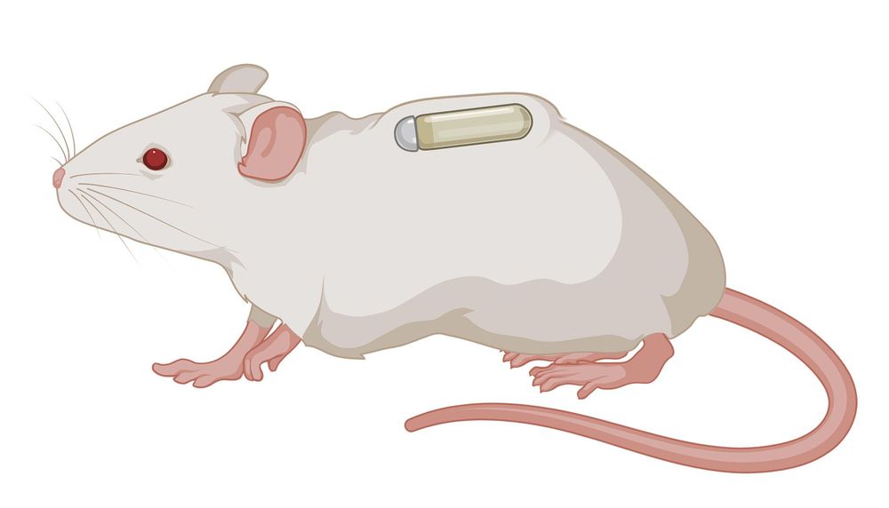 Dosing - Animal Services | Biospective