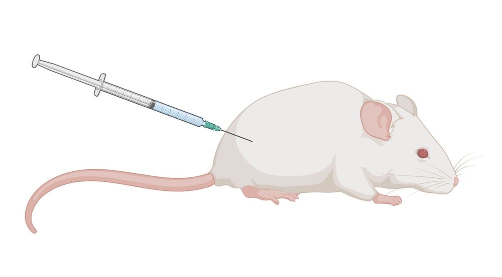 Dosing - Animal Services | Biospective