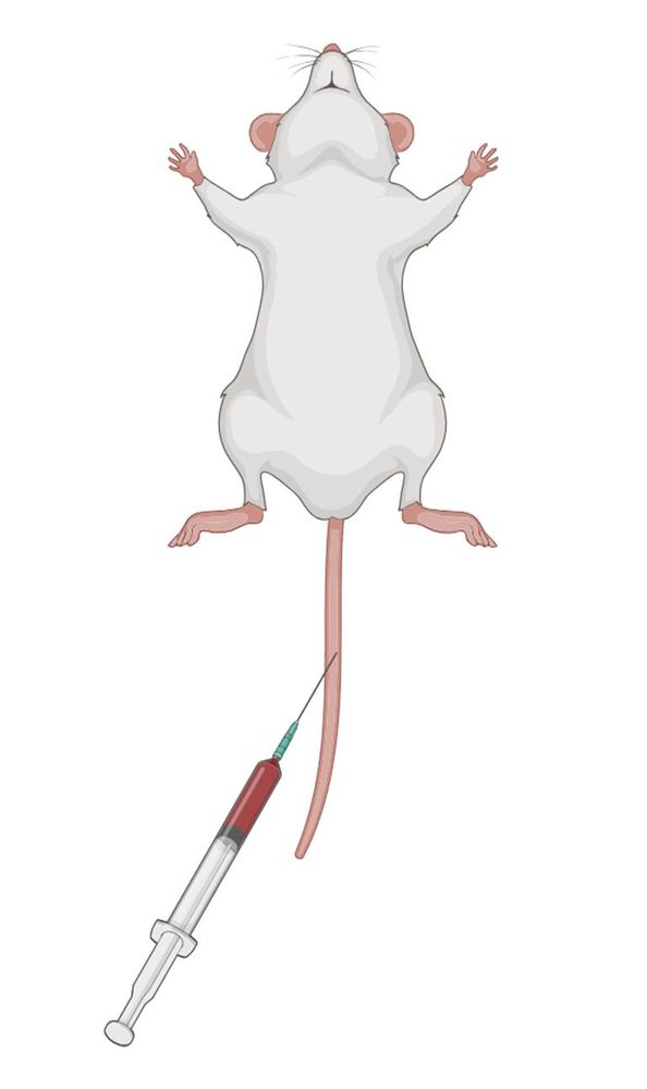 Fluid & Tissue Collection - Animal Services | Biospective