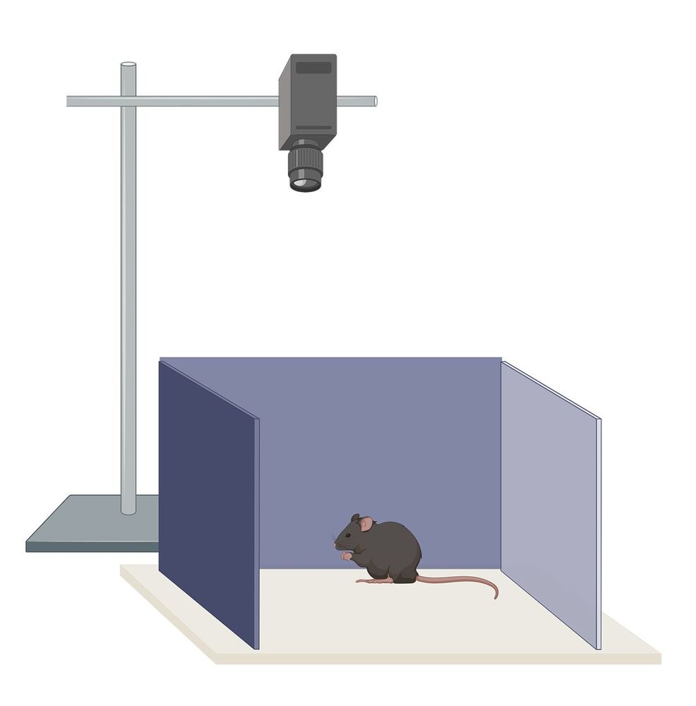Sleep & Cognition - Behavioral Testing | Biospective