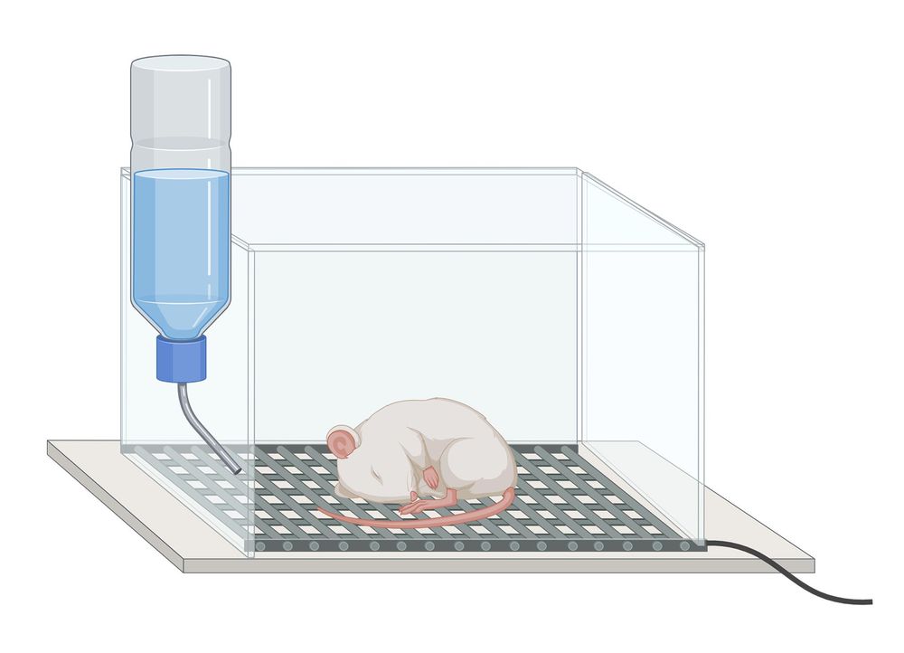 Sleep & Cognition - Behavioral Testing | Biospective