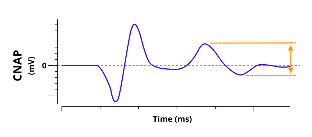 CNAP (Sensory) - Electrophysiology | Biospective